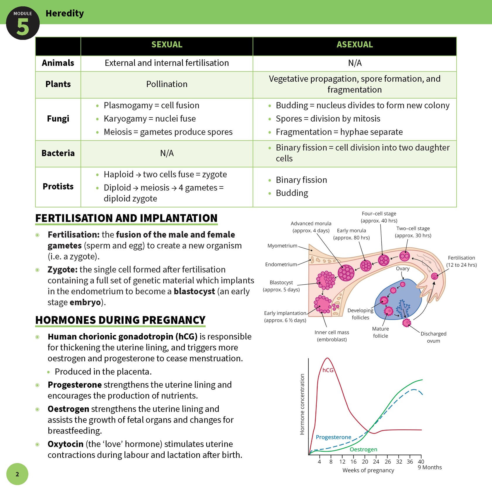 ATAR Notes HSC Year 12 Biology Summary Sheets (2025-2027) – Excel